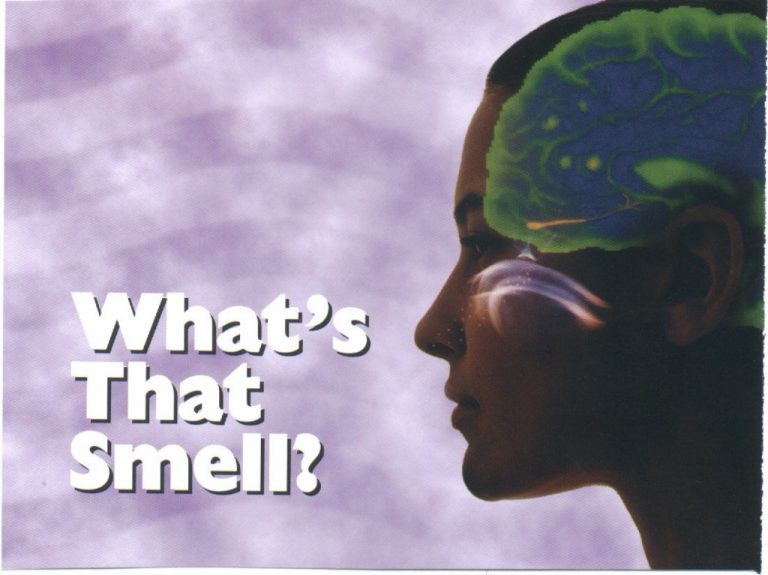 Moment for Health: That Smelly Smell - Newport Beach News