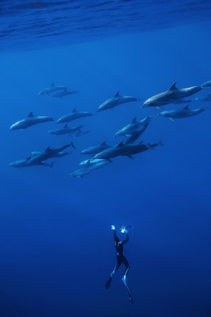 Local Focus: Diving Into a 'Deep' Subject at ExplorOcean - Newport ...