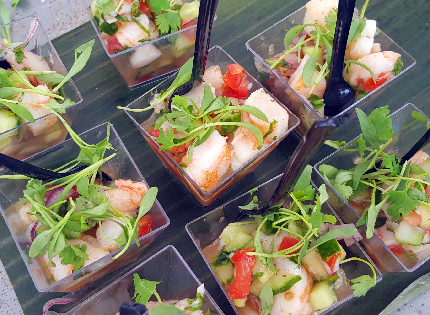 Charity Spotlight: Hoag Summer Classic Culinary Event Raises $245K ...