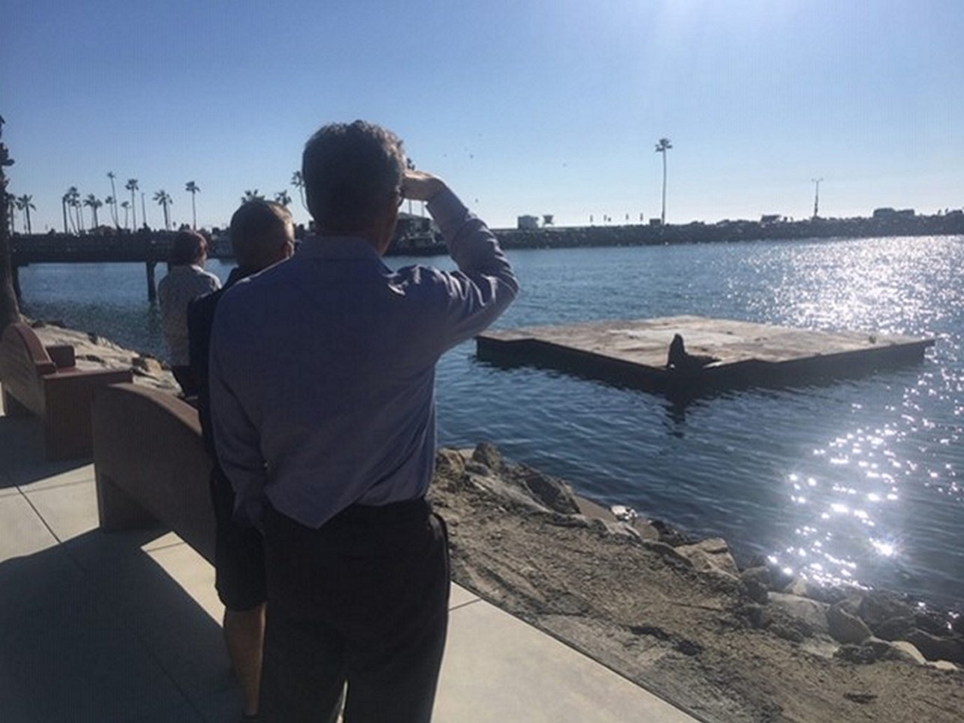 Harbormaster’s Report - Newport Beach News