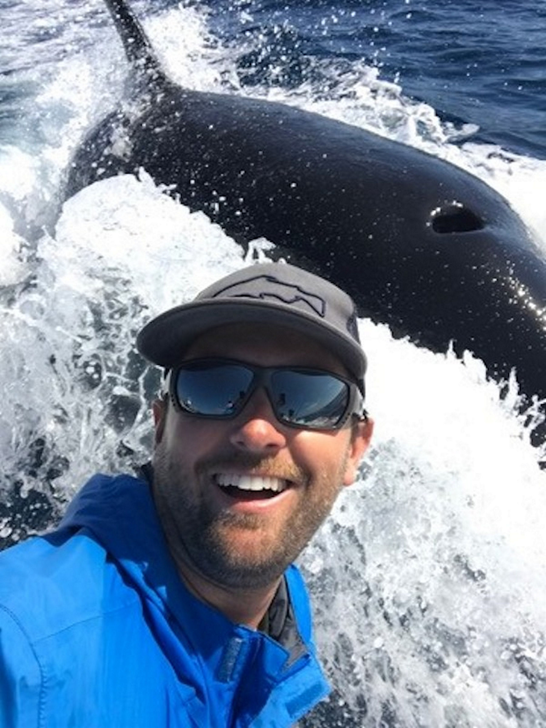 Local Captain Snaps Orca 'Selfie' - Newport Beach News