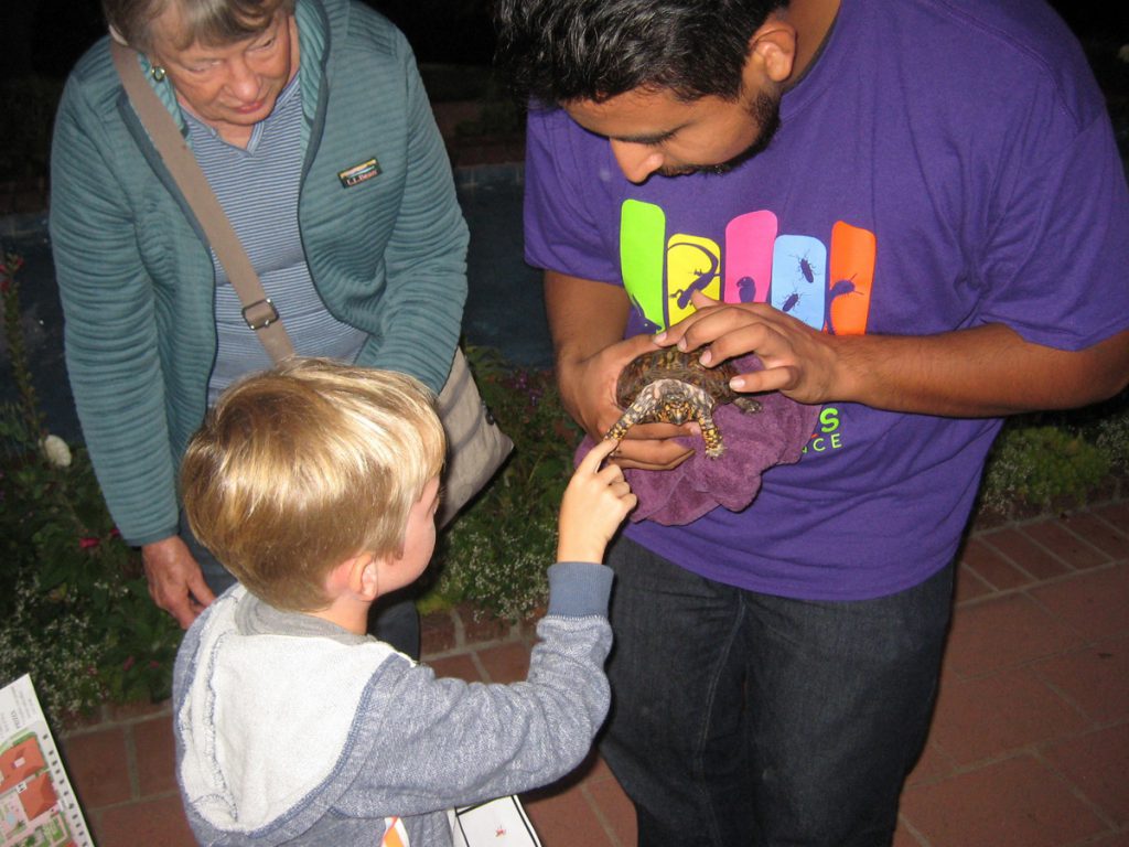 Nocturnal Creatures Roam CdM Garden - Newport Beach News