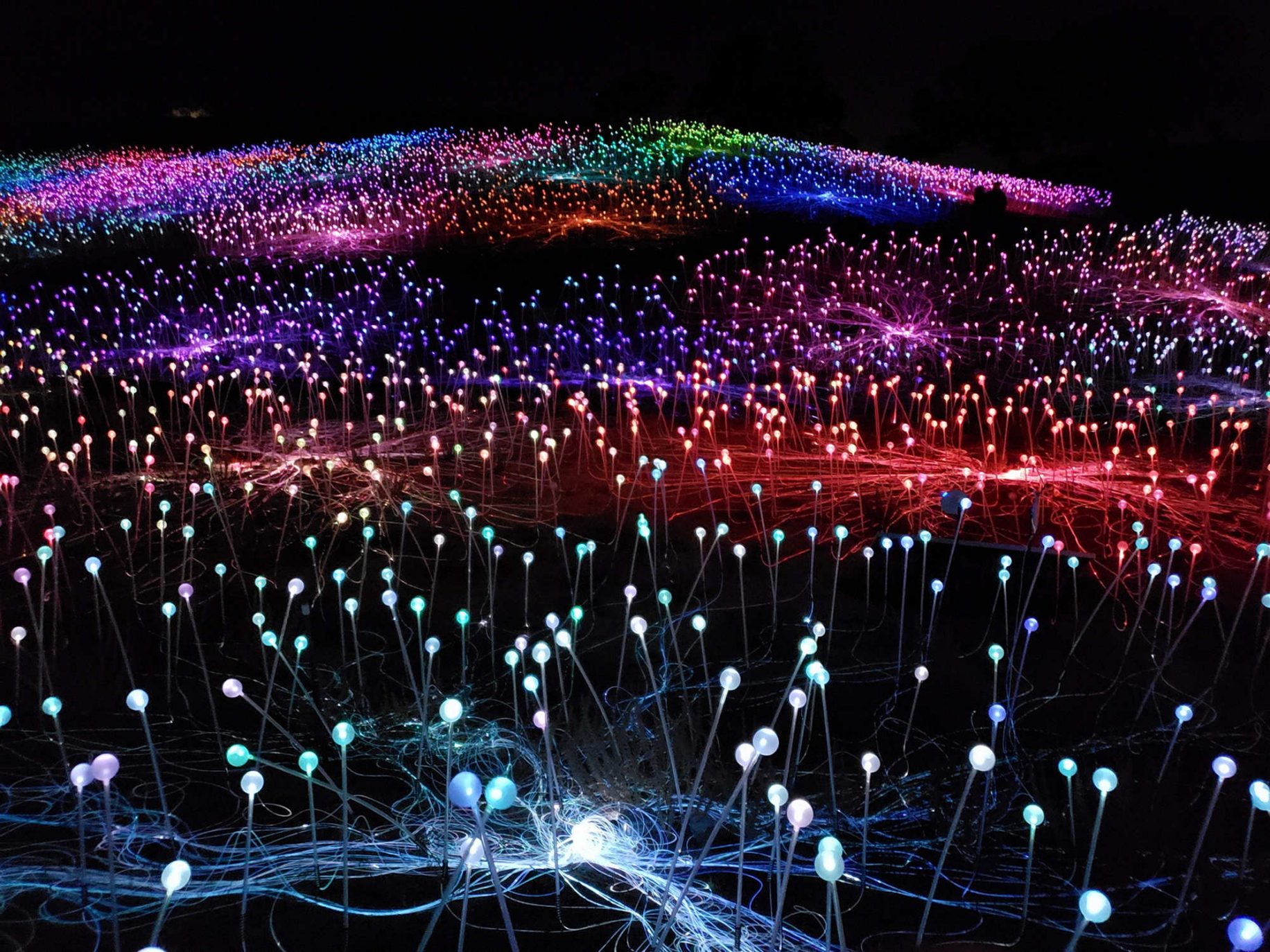 Outta Here: Field of Lights at Sensorio - Newport Beach News