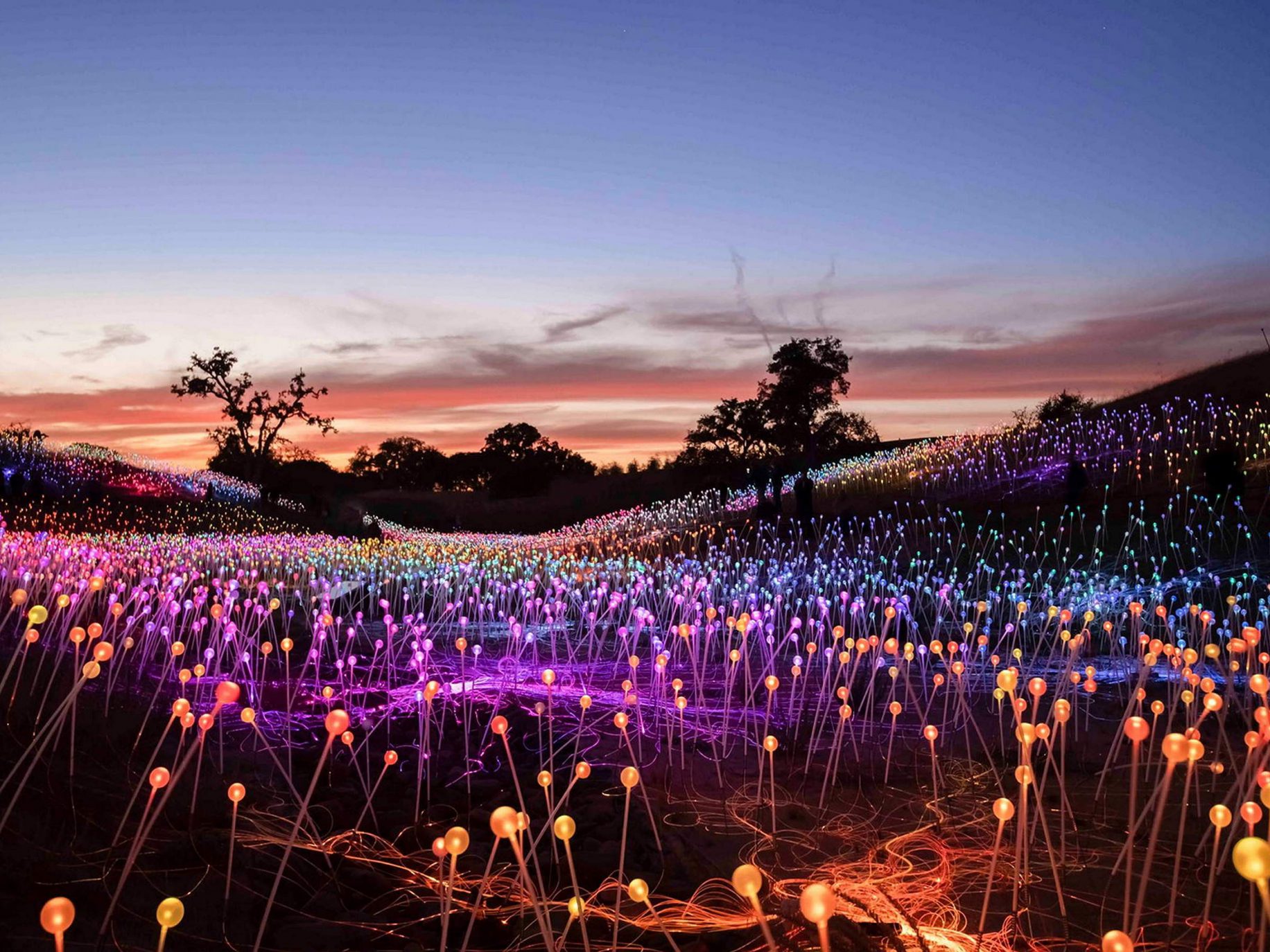 Outta Here: Field of Lights at Sensorio - Newport Beach News