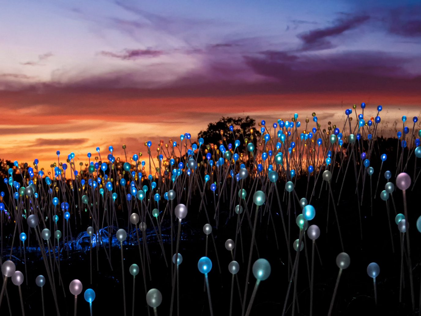 Outta Here: Field of Lights at Sensorio - Newport Beach News