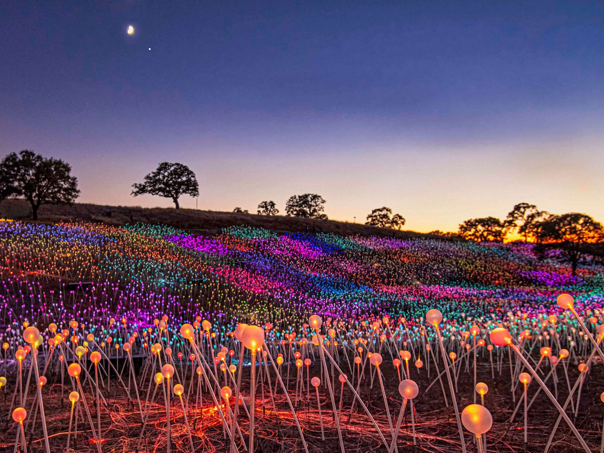 Outta Here: Field of Lights at Sensorio - Newport Beach News