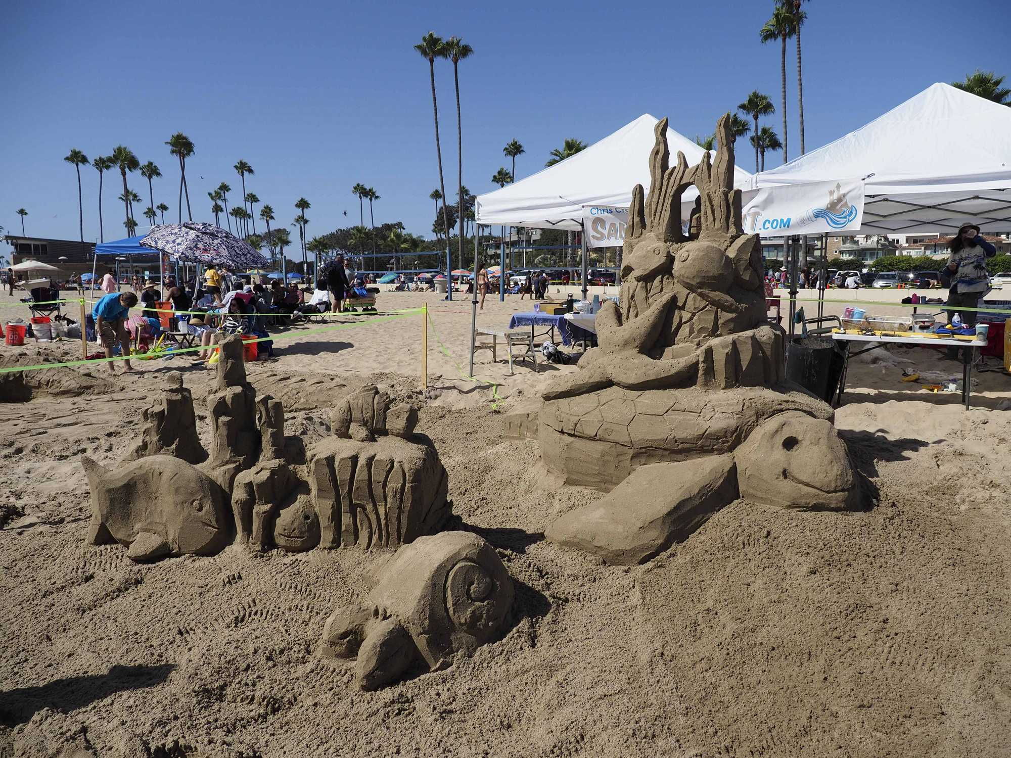 Sandcastles, Sea Creatures Amaze Thousands - Newport Beach News