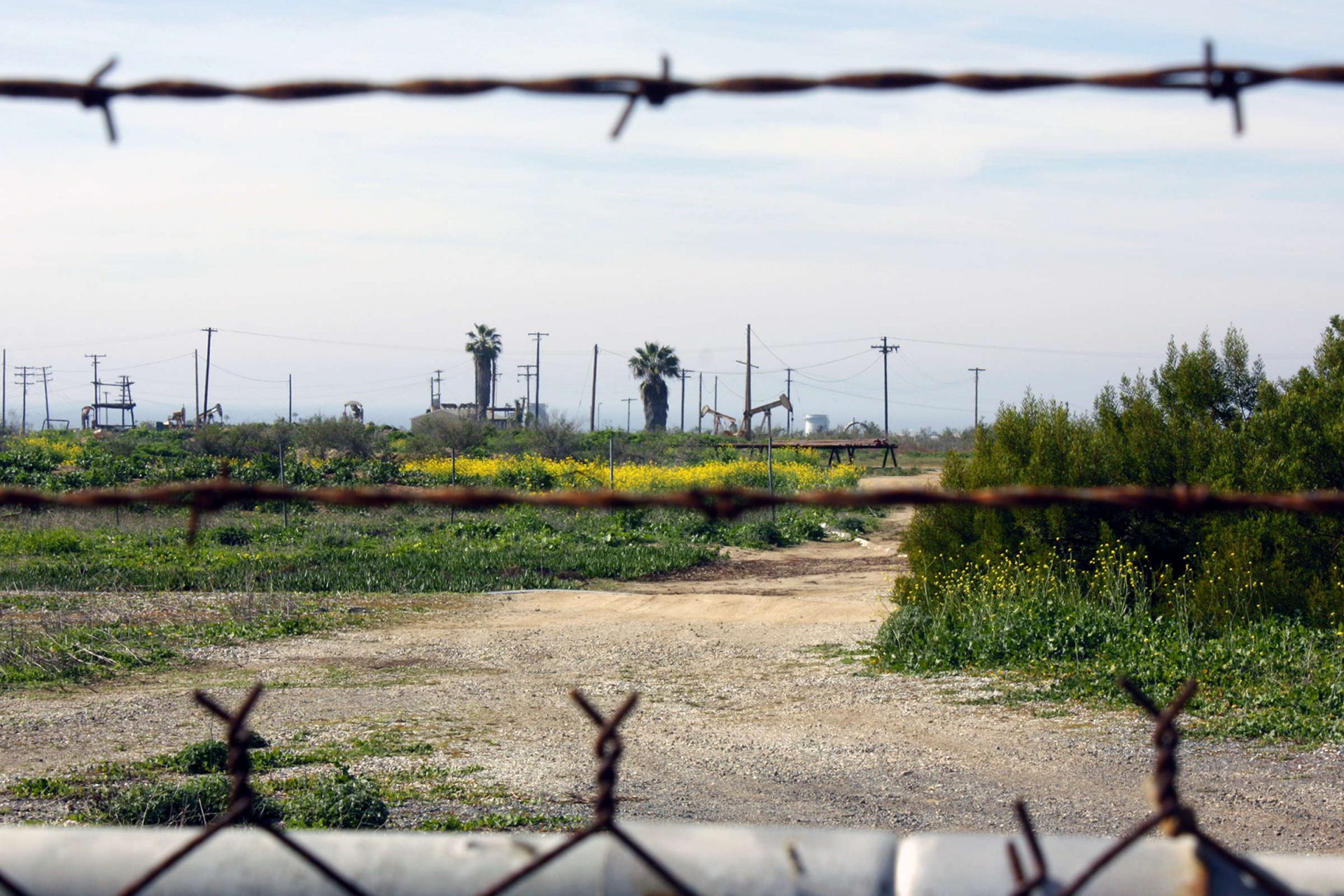 What Does a $45M Donation Mean for Banning Ranch? - Newport Beach News