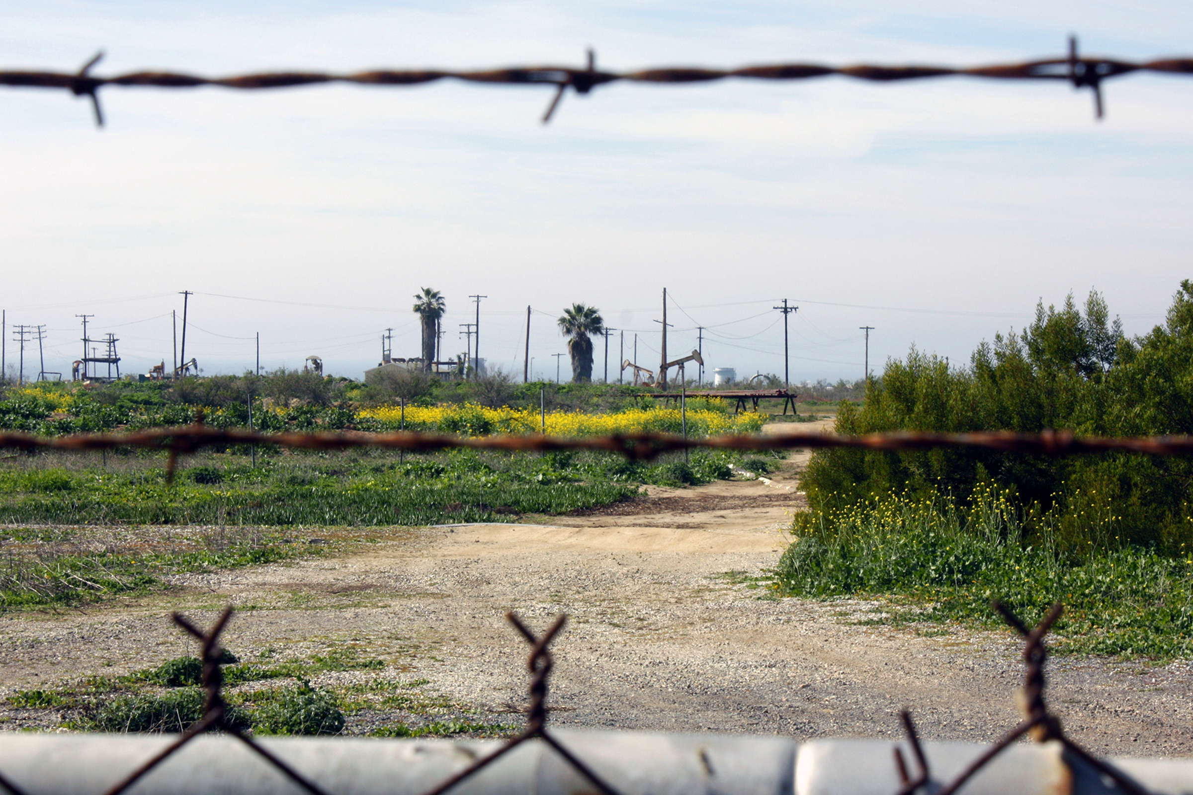 What Does a $45M Donation Mean for Banning Ranch? - Newport Beach News