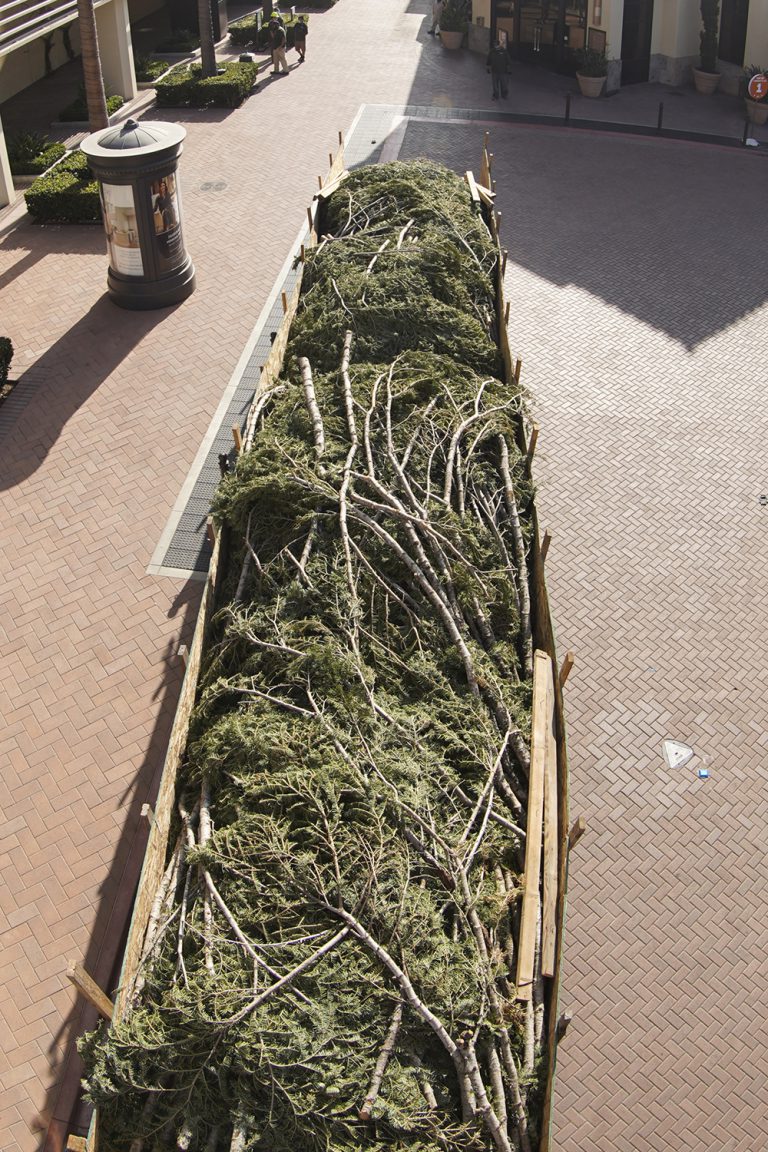 Fashion Island Welcomes the Holiday Season with 90-Foot-Tall Tree ...