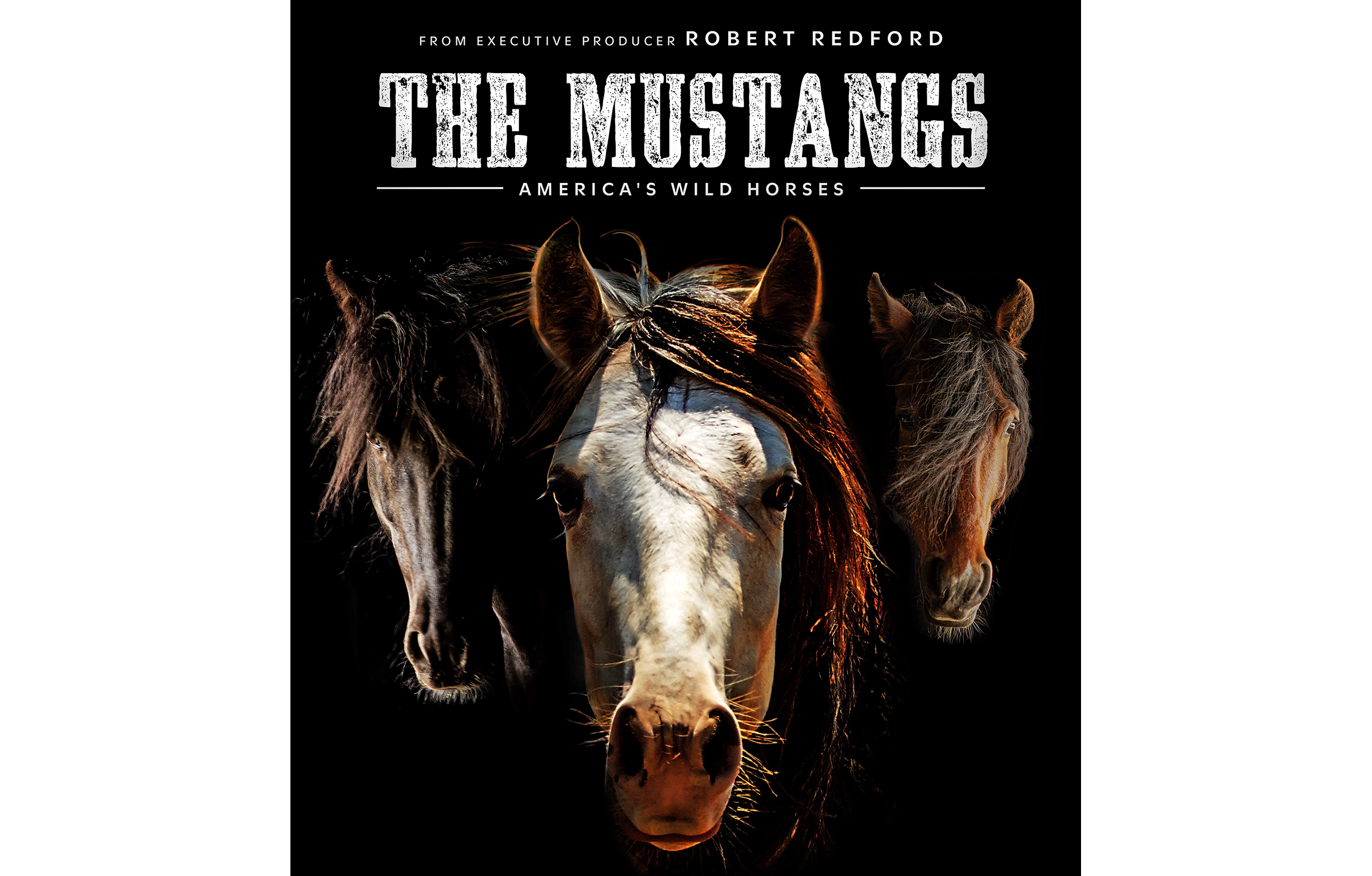 Saddle Up With the Fascinating Documentary ‘The Mustangs: America’s ...