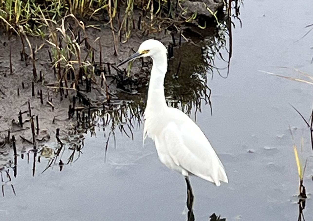 No Wrapping Required: Discovering the Quiet Wonders of Upper Newport ...